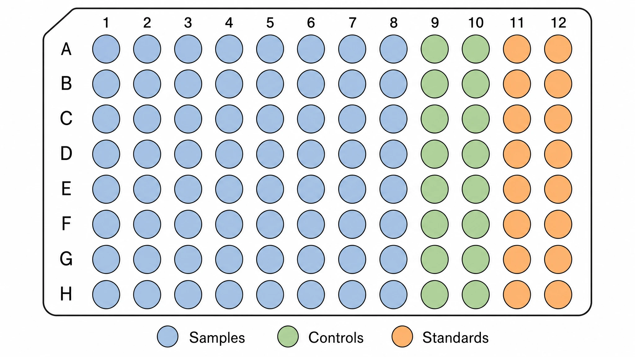 Editable 96-Well Plate — Diagram & Template | SciFig